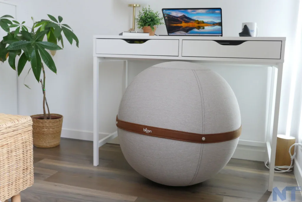 Test du Bloon Original : Le ballon d’assise révolutionnaire pour le ...